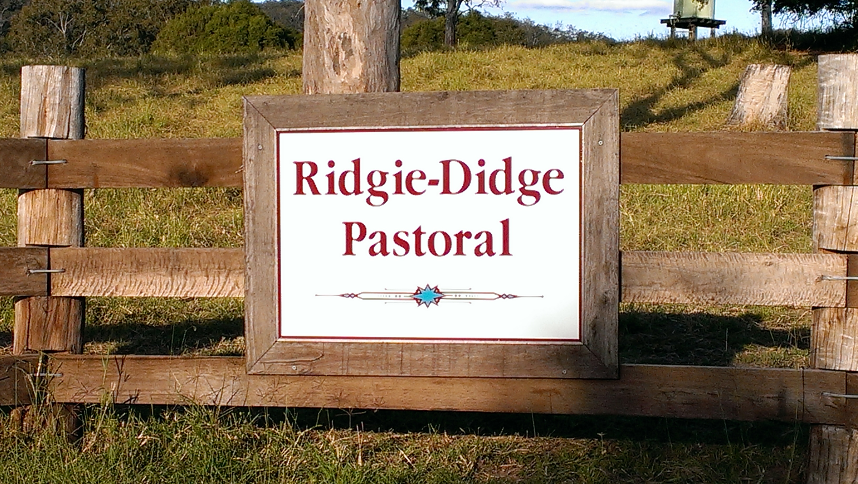 Home [www.ridgie-didge.com.au]